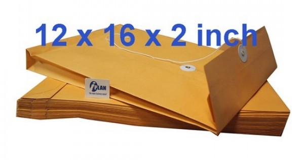 Goldkraft Expandable Envelope EX1216 12x16x2 (Pack of 10) [Your online ...