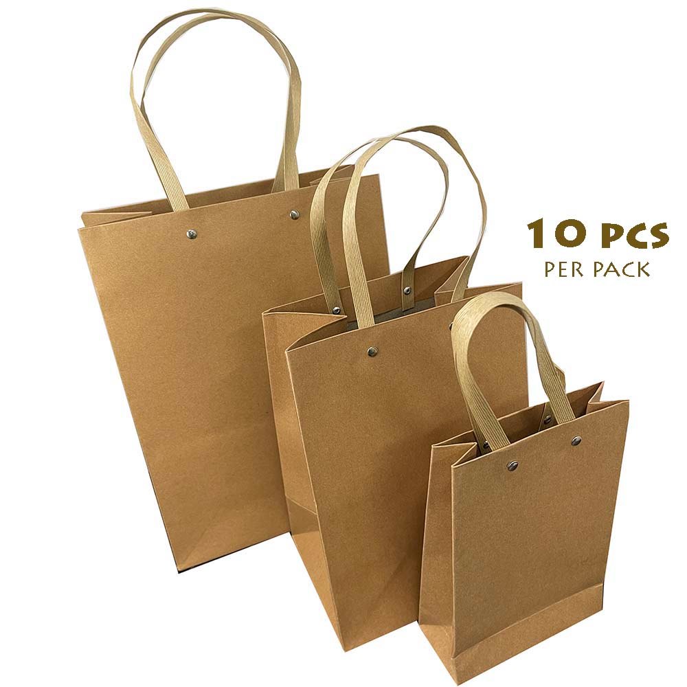 Eco-Friendly Brown Kraft Paper Bags with Rivet Handle – 10pcs Pack ...