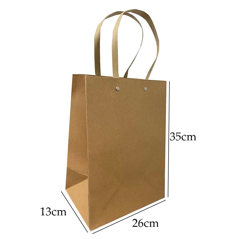 Eco-Friendly Brown Kraft Paper Bags with Rivet Handle – 10pcs Pack ...
