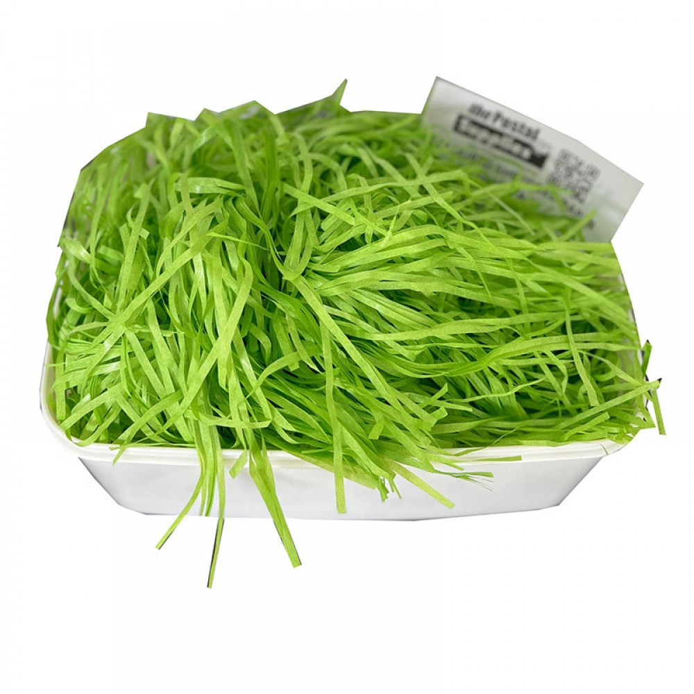 Emerald Green Shredded Paper Fillers/ Raffia Paper Shreds for Wrapping ...